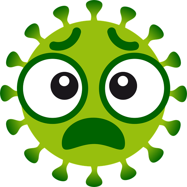 FV! Neapolitania – Ferienverbindung Neapolitania zu Neustadt